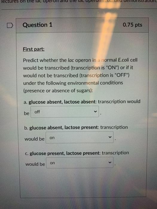 Solved lectures on the lac oper Question 1 0.75 pts First | Chegg.com