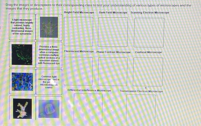 Solved Drag the images or descriptions to their | Chegg.com