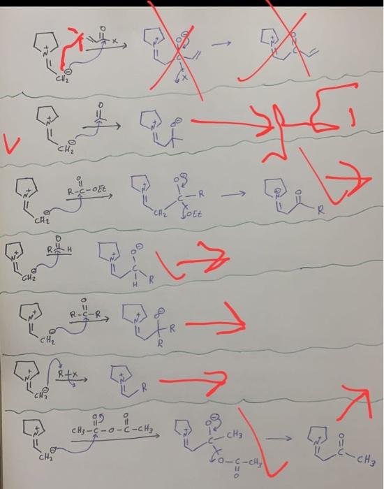 Solved Correct the errors, and complete the rest | Chegg.com