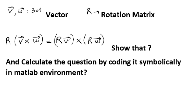 Solved vec(v),vec(w):3×1 ﻿Vector R→ ﻿Rotation Matrix | Chegg.com