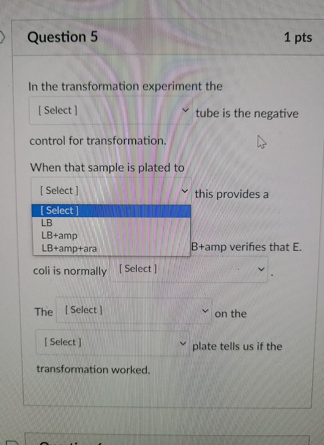 Solved Question 5 1 pts In the transformation experiment the | Chegg.com