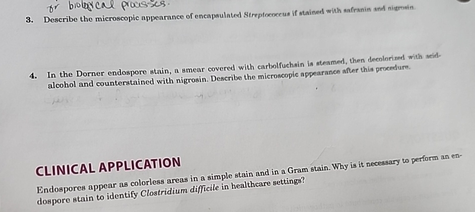 Solved In the Dorner endospore stain, a smear covered with | Chegg.com