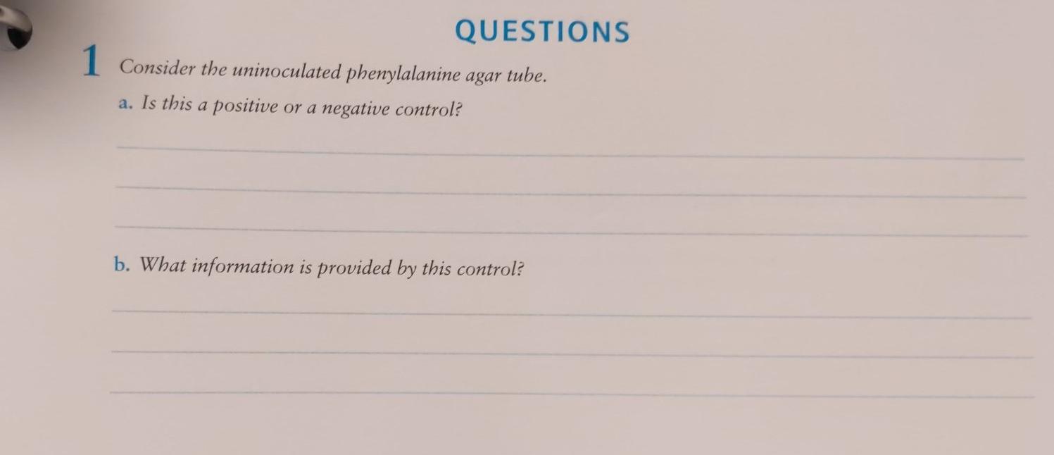 Solved 5-12 Phenylalanine Deaminase Test OBSERVATIONS AND | Chegg.com