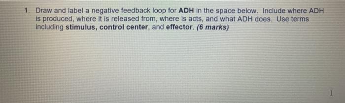 Solved 1. Draw and label a negative feedback loop for ADH in | Chegg.com