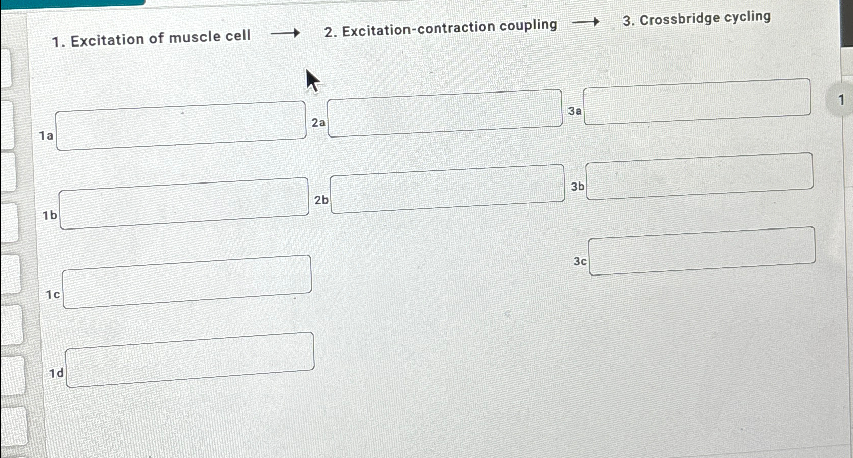 Solved Excitation of muscle cell | Chegg.com