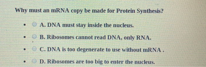 Solved If a DNA strand has a sequence GTA, what will be the | Chegg.com