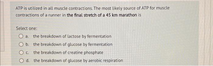 Solved ATP is utilized in all muscle contractions. The most | Chegg.com