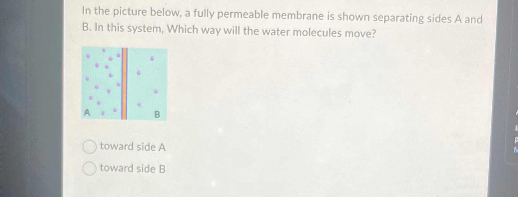 Solved In the picture below, a fully permeable membrane is | Chegg.com