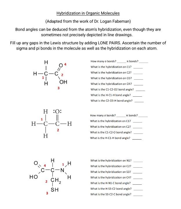 Solved Hybridization in Organic Molecules (Adapted from the | Chegg.com
