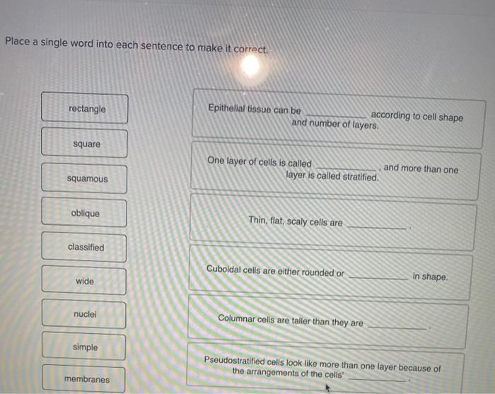 Solved Place a single word into each sentence to make it | Chegg.com