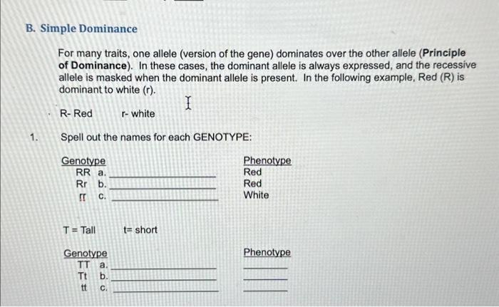 Solved B. Simple Dominance For many traits, one allele | Chegg.com