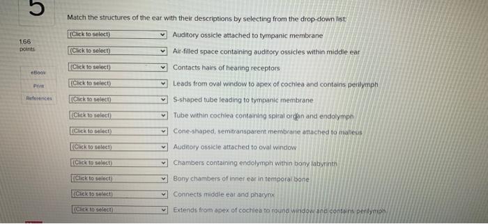 Match the structures of the ear with their | Chegg.com