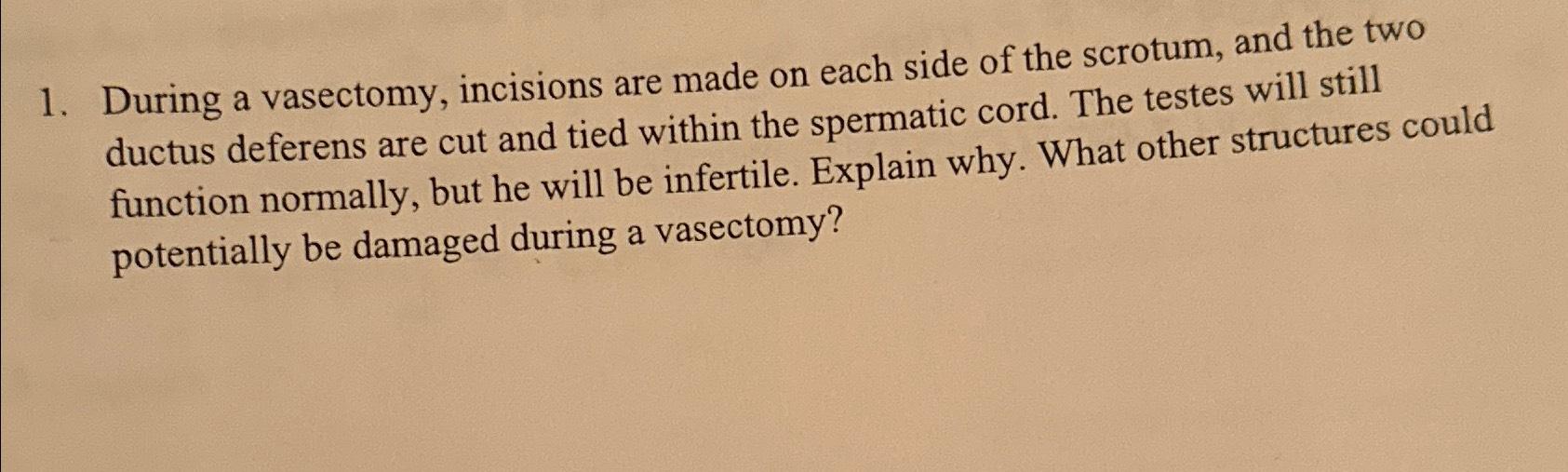Solved During a vasectomy, incisions are made on each side | Chegg.com