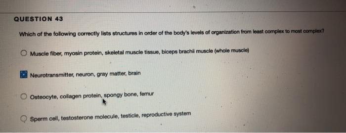 Solved QUESTION 43 Which of the following correctly lists | Chegg.com