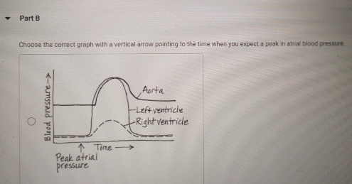 Solved Part BChoose the correct graph with a vertical arrow | Chegg.com