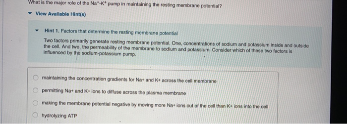 Solved What Is The Major Role Of The Nat K Pump In Chegg solved-what-is-the-major-role-of-the-nat-k-pump-in-chegg