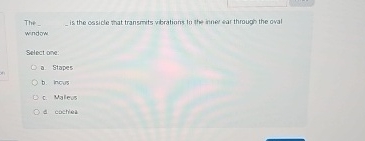 Solved The _ _ ﻿is the oaside that transmits vbrations lo | Chegg.com