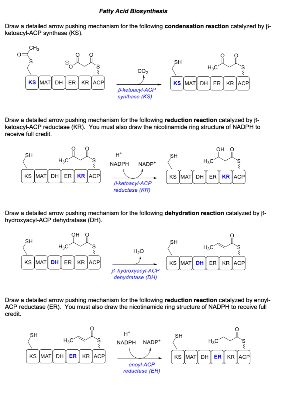 Fatty Acid Biosynthesis Draw a detailed arrow pushing | Chegg.com