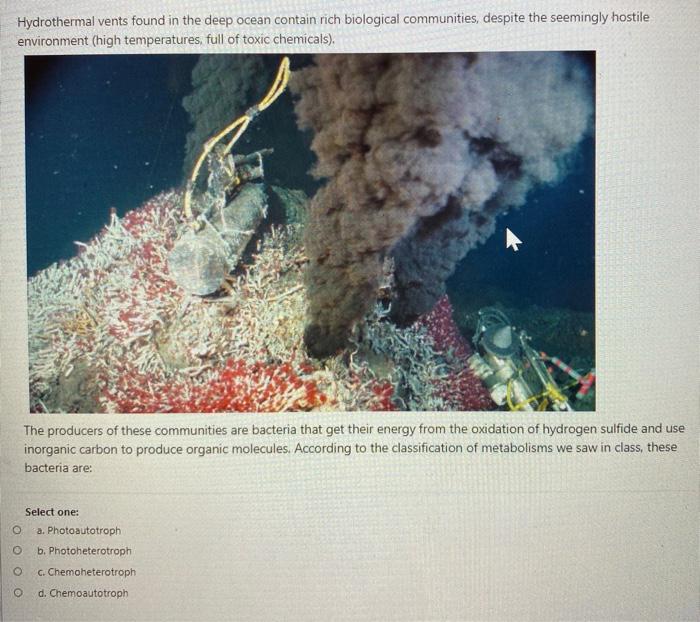 Solved Hydrothermal vents found in the deep ocean contain | Chegg.com
