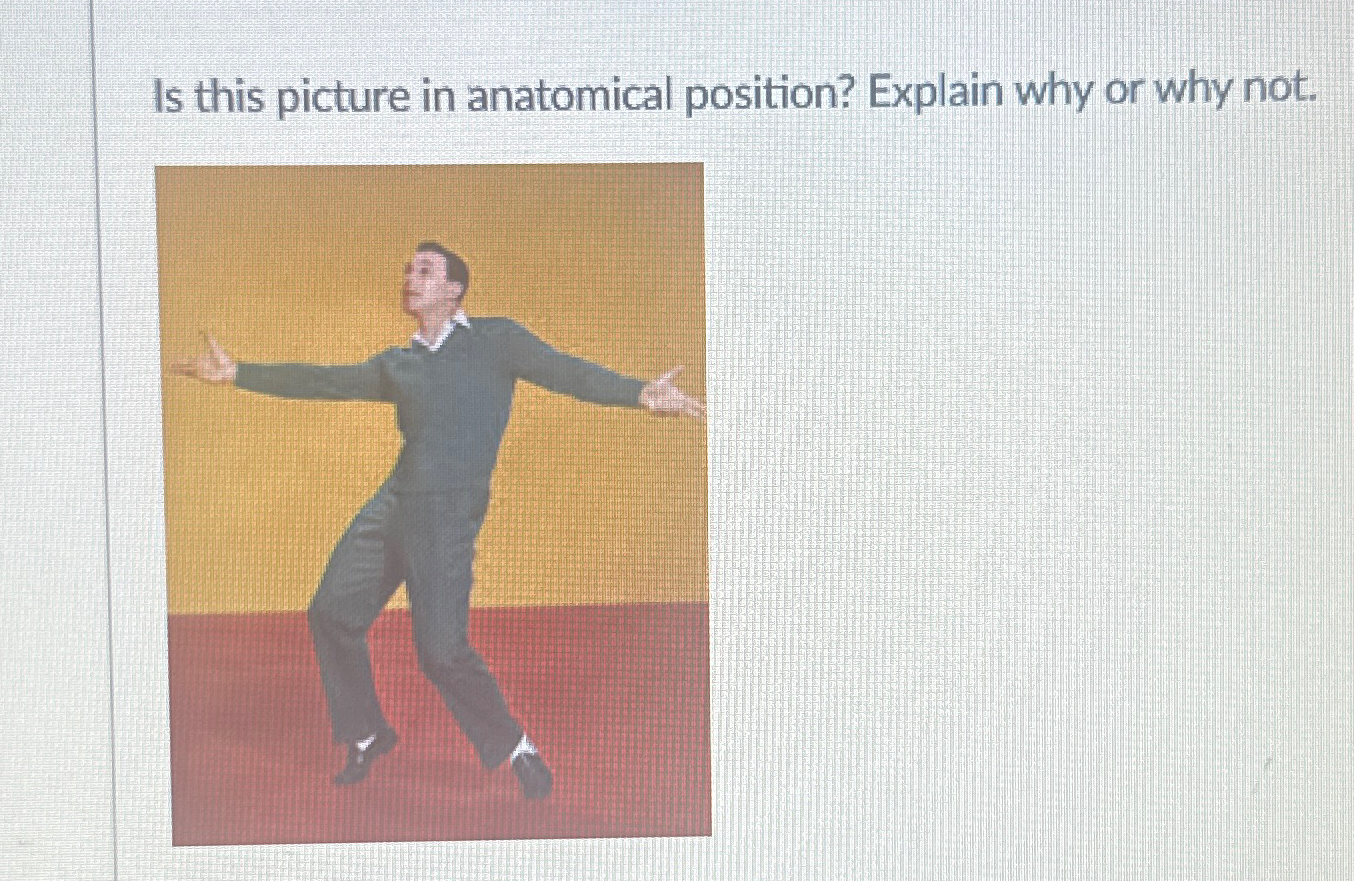 Solved Is this picture in anatomical position? Explain why | Chegg.com