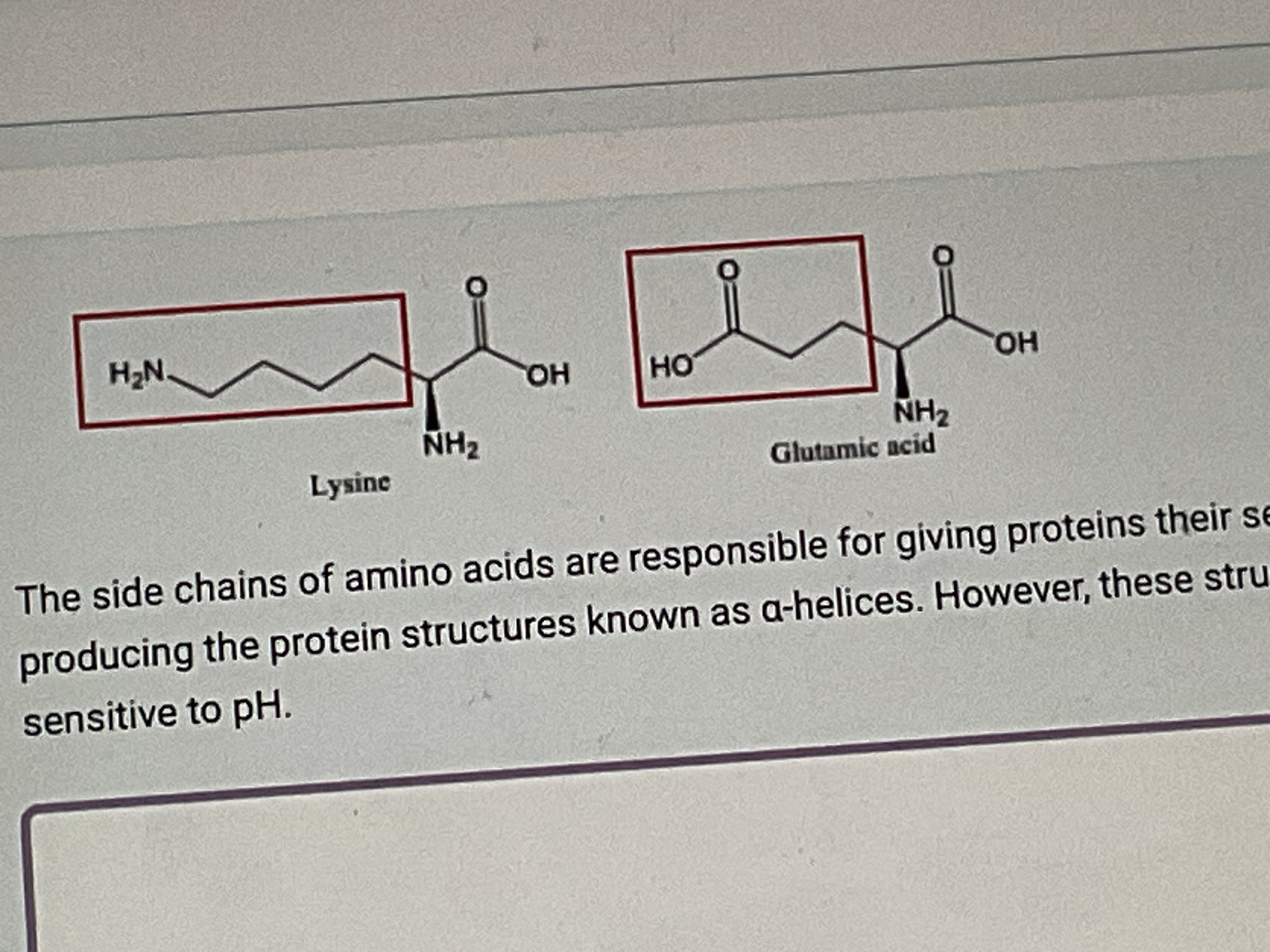 Solved The side chains of amino acids are responsible for | Chegg.com