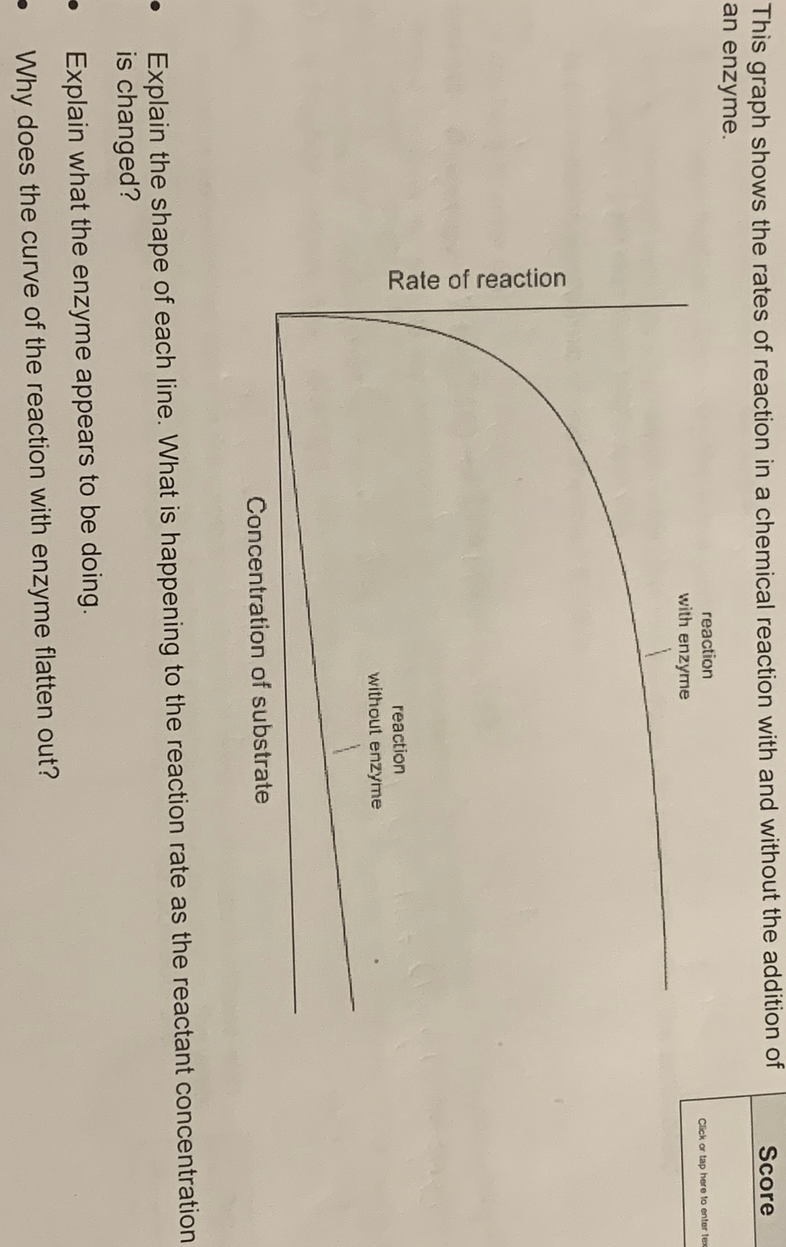 Solved This graph shows the rates of reaction in a chemical | Chegg.com