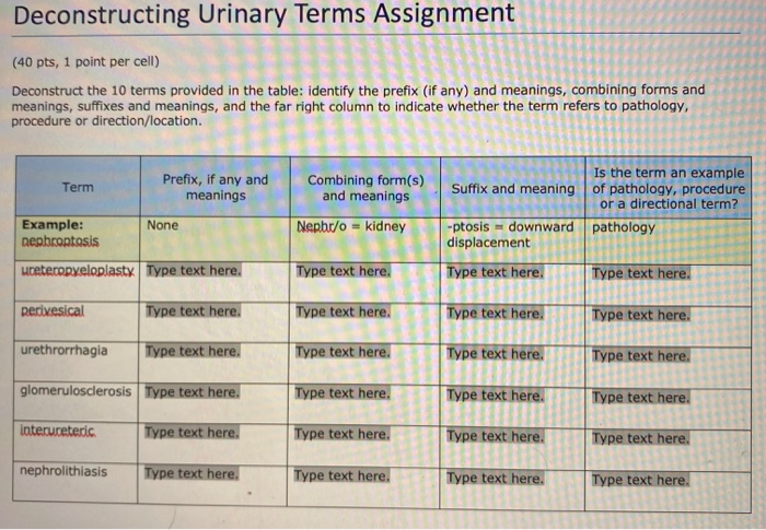 Solved Deconstructing Urinary Terms Assignment (40 pts, 1 | Chegg.com