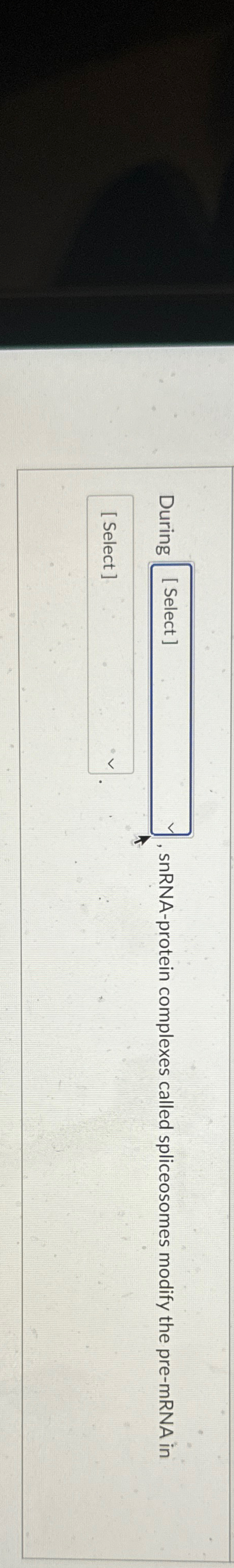 Solved During , ﻿snRNA-protein complexes called | Chegg.com