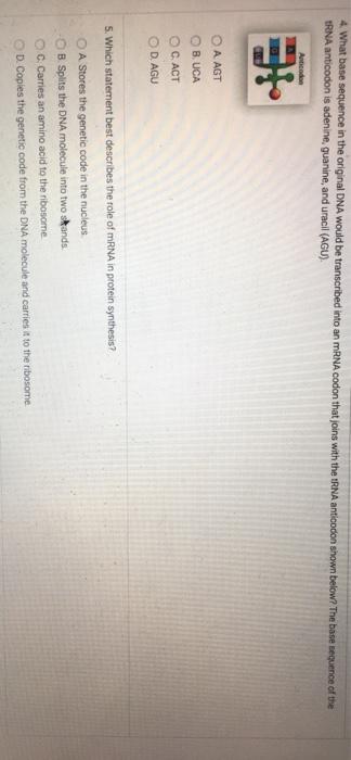 Solved 1. Which mRNA sequence complements the DNA sequence | Chegg.com