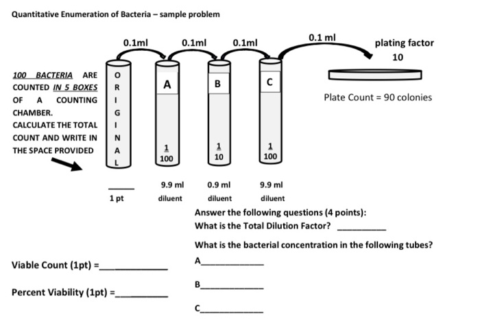 Solved Quantitative Enumeration of Bacteria - sample problem | Chegg.com