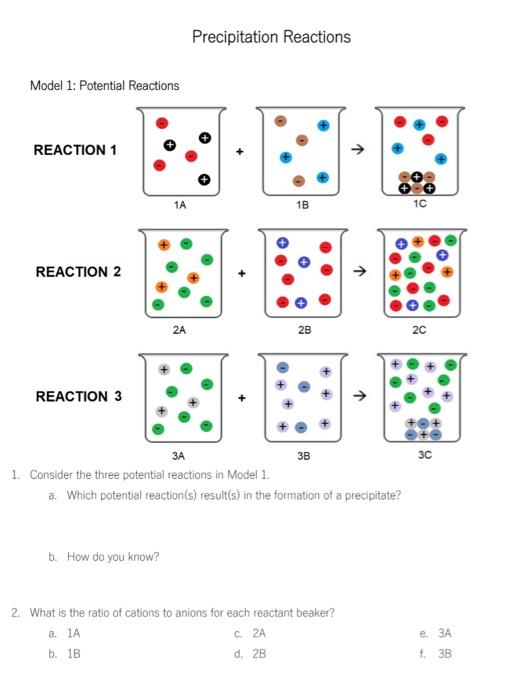 Solved Precipitation Reactions Model 1: Potential Reactions | Chegg.com