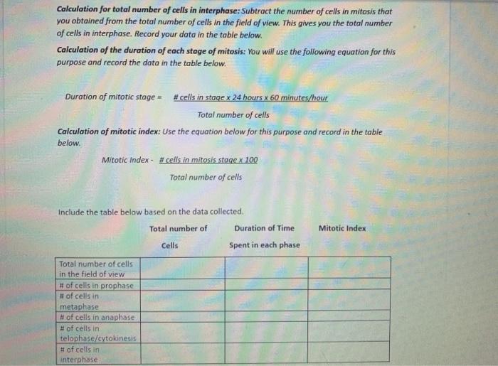 Solved Calculation for total number of cells in interphase: | Chegg.com