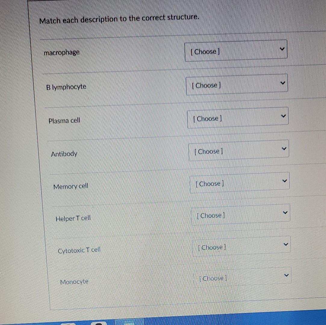 Solved Match each description to the correct structure. | Chegg.com