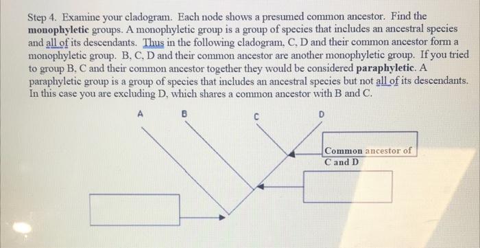 Solved Step 4. Examine your cladogram. Each node shows a | Chegg.com