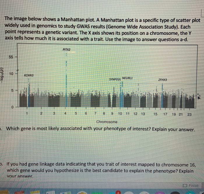 Solved The image below shows a Manhattan plot. A Manhattan | Chegg.com