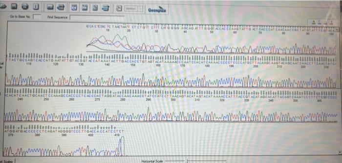 Solved Compare forward and reverse sequences. Open both your | Chegg.com