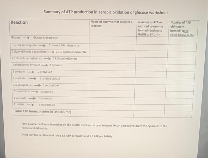 Solved Summary of ATP production in aerobic oxidation of | Chegg.com
