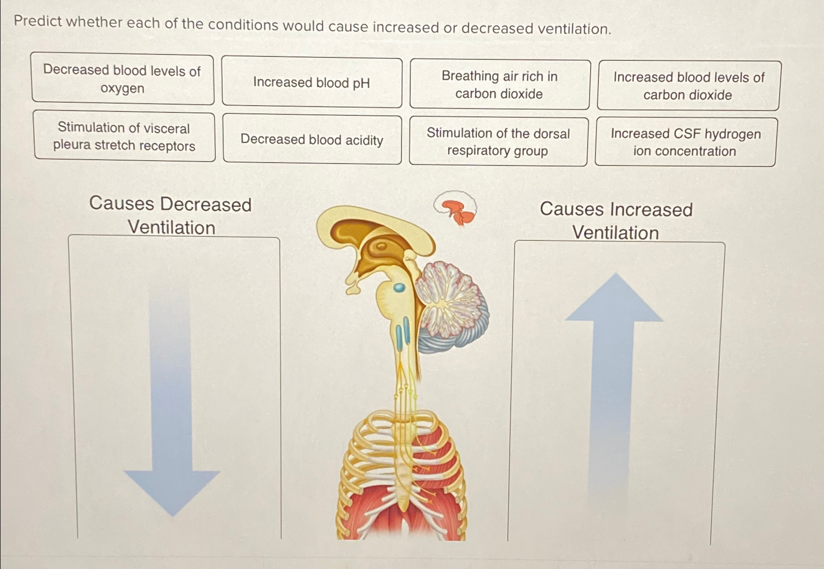 Solved Predict whether each of the conditions would cause | Chegg.com