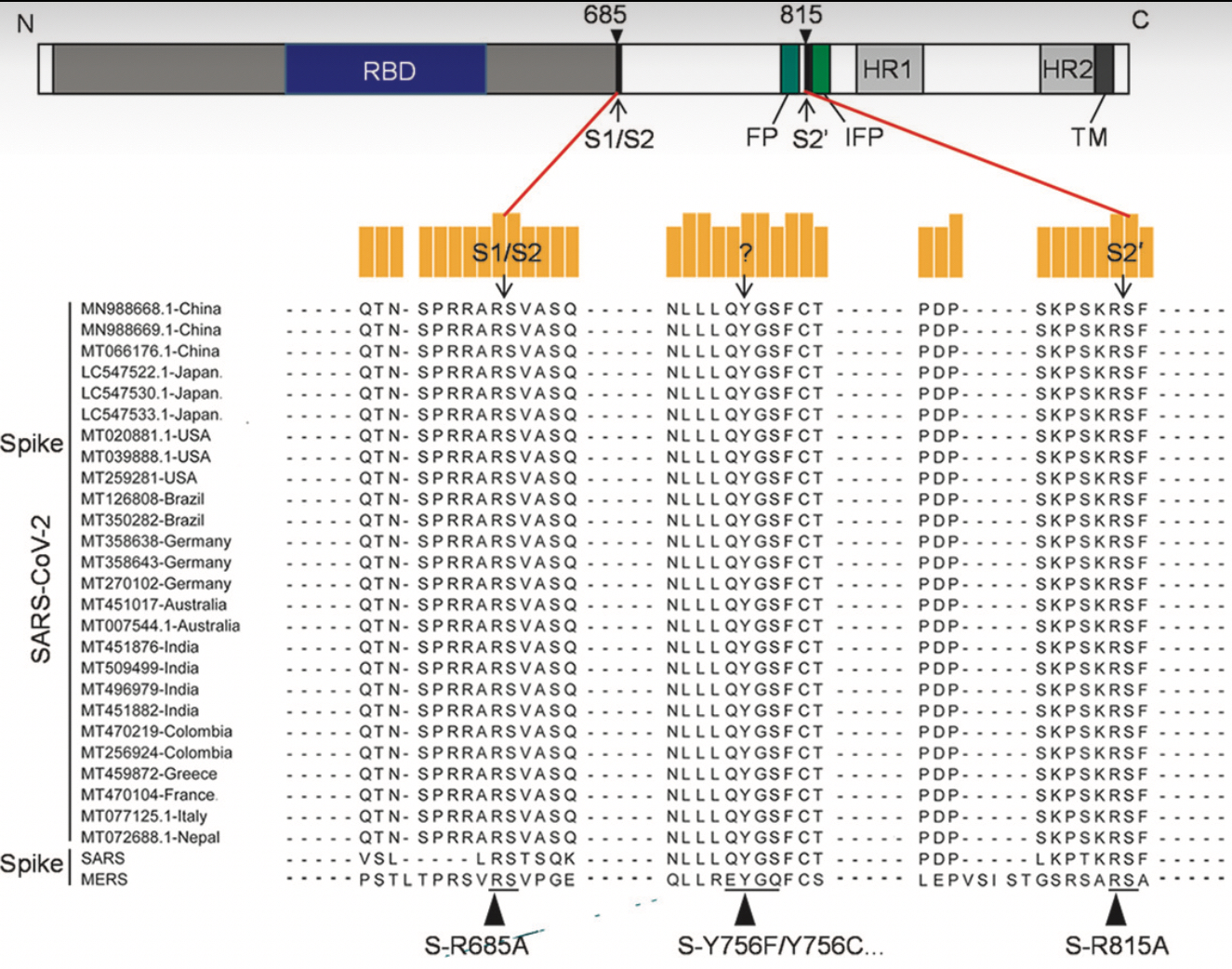 Solved For this question, consider the multiple sequence | Chegg.com
