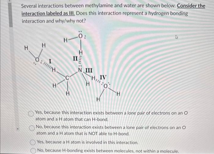 Solved Several interactions between methylamine and water | Chegg.com