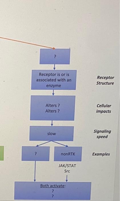 Solved Receptor is an ion channel Alters ion gradients | Chegg.com