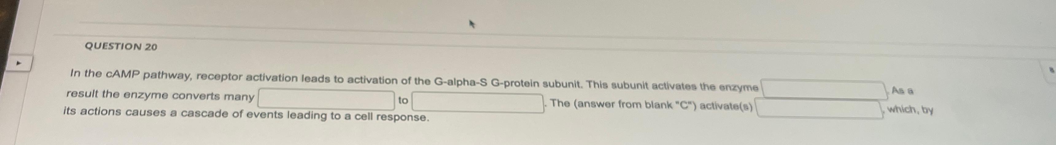 Solved QUESTION 20In the CAMP pathway, receptor activation | Chegg.com