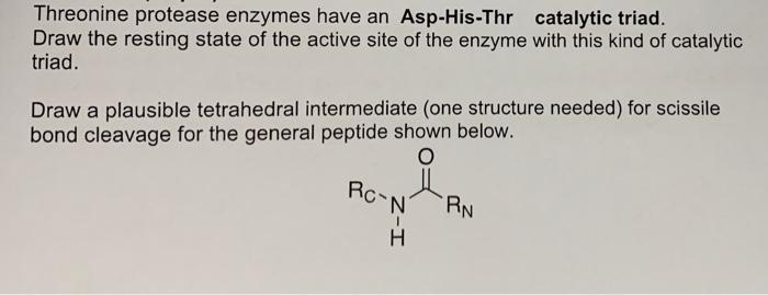 Solved Threonine protease enzymes have an Asp-His-Thr | Chegg.com
