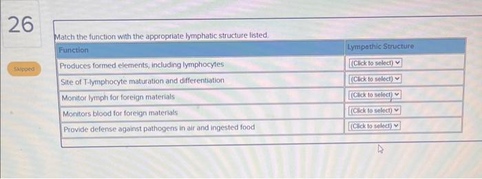 Solved 26 Match the function with the appropriate lymphatic | Chegg.com