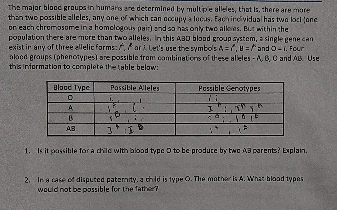 Solved The major blood groups in humans are determined by | Chegg.com