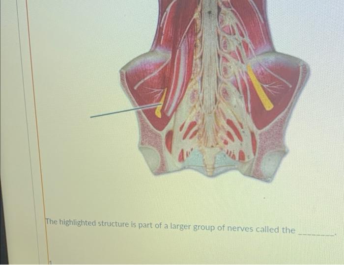 Solved The highlighted structure is part of a larger group | Chegg.com