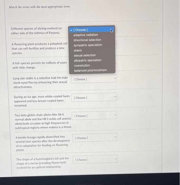 Solved Match the event with the most appropriate term. | Chegg.com