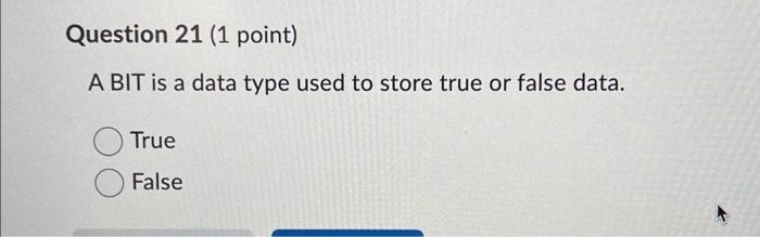 Solved A BIT is a data type used to store true or false | Chegg.com