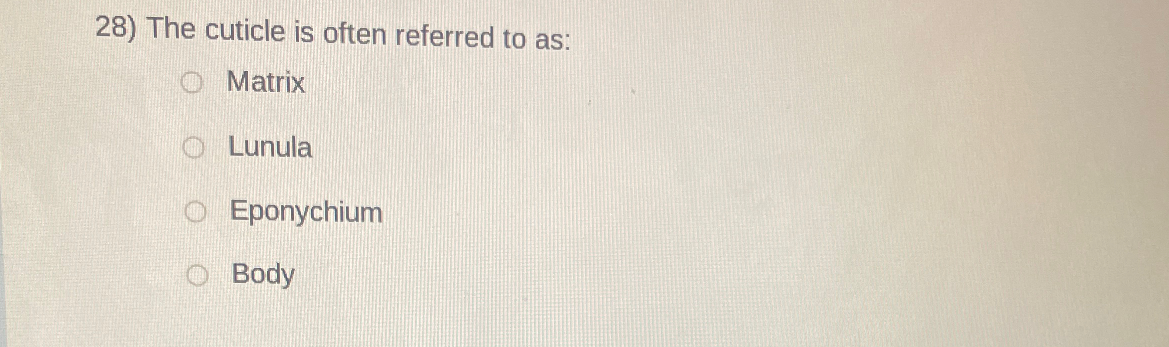 Solved The cuticle is often referred to | Chegg.com