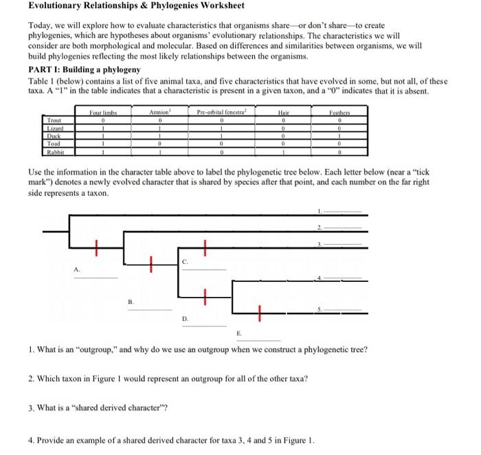 Solved Evolutionary Relationships & Phylogenies Worksheet | Chegg.com